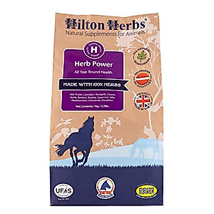 Herb Power: Supports All Year Round Natural Health