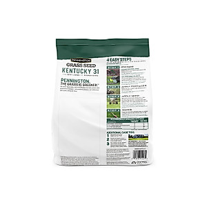 Pennington Kentucky 31 Tall Fescue Penkoted Grass Seed 3 lb, Green