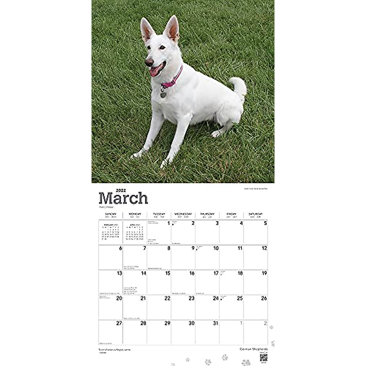 German Shepherds 2022 12 x 12 Inch Monthly Square Wall Calendar with Foil Stamped Cover, Animals Dog Breeds DogDays