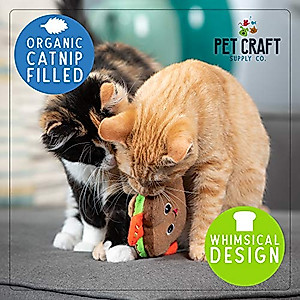 Pet Craft Supply Silly Snacks and Funny Food Crinkle Cuddling Catnip and Silvervine Interactive Cat Toys - Great for Indoor Cats and Kittens, All Breed Sizes