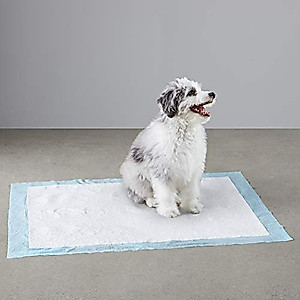 Amazon Basics Dog and Puppy Pee Pads with Leak-Proof Quick-Dry Design for Potty Training, Heavy Duty Absorbency, X-Large, 28 x 34 Inches - Pack of 50