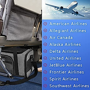 Wakytu TSA Approved Pet Carrier for Small Cats Dogs, Dog Carrier Travel Bag with Adequate Ventilation, 5 Mesh Windows, 3 Entrance, Locking Safety Zippers, Padded Shoulder and Carrying Strap, Small