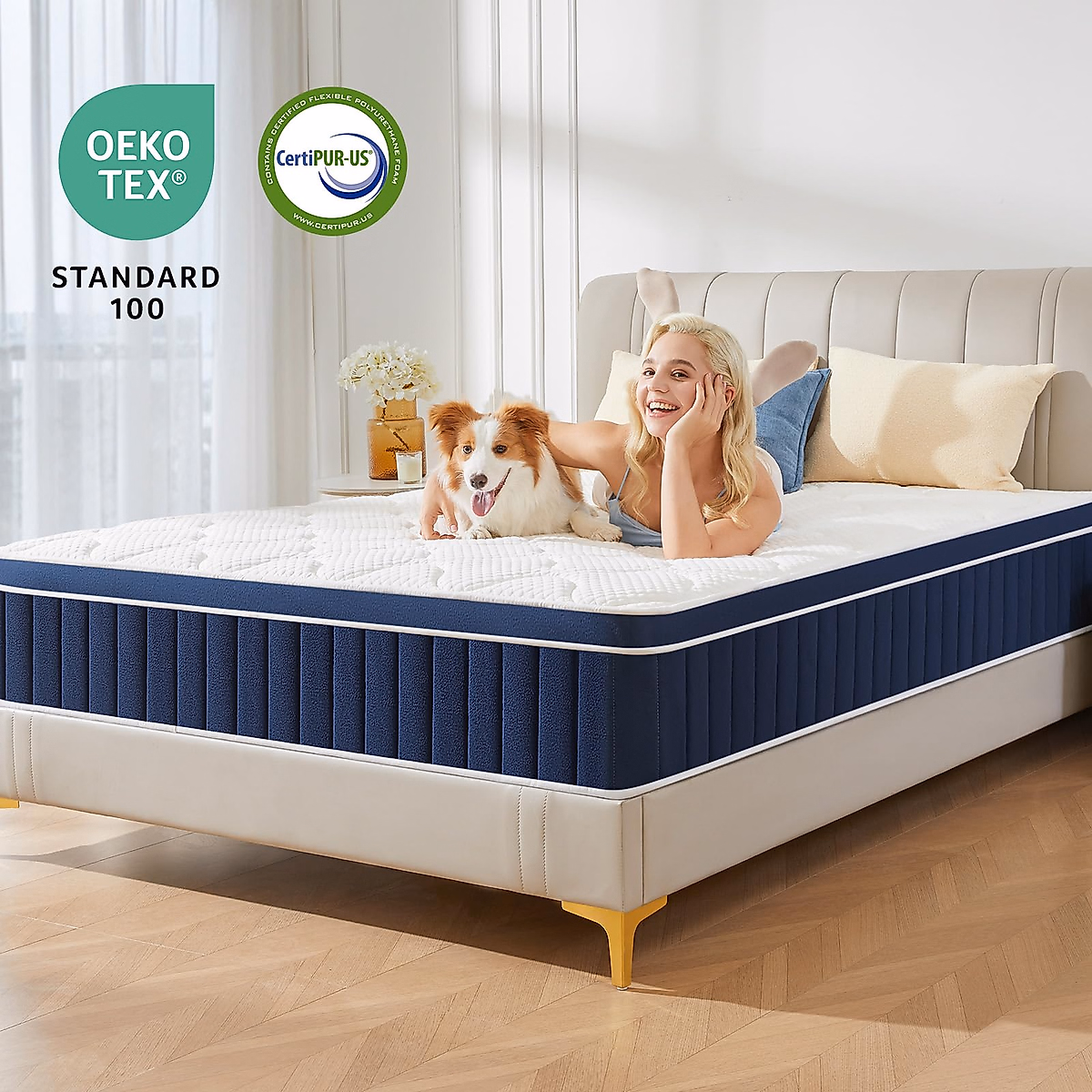 Rolanstar Queen Size Mattress, 12 Inch Foam Hybrid Mattress with Independent Spring, Medium Firm Mattress in a Box, Breathable and Pressure Relief, CertiPUR-US