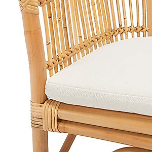 SAFAVIEH Home Collection Olivia Rattan Cushion Accent Chair, Natural/White