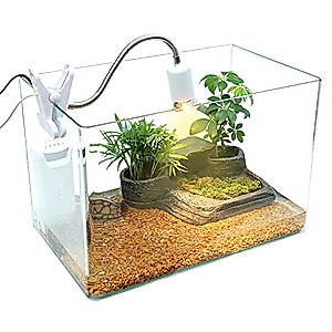 HOMUREN EU Plug 50W 220V 2in1 Set Reptile Heat Lamp with Bulb with Clip Turtle Back UVB+UVA Full Spectrum Sun Light Sunbathe for Lizard Amphibians