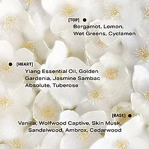 PHLUR Phloria Eau de Parfum - Travel Size Perfume for Women & Men Fragrance - White Floral Perfume with Bergamot, Lemon, Gardenia, Sandalwood & Vanilla (9.5mL)