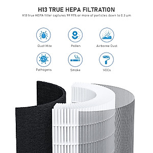 WeGuard HEPA Replacement Filters Compatible with WeGuard K300 Air Purifier, 3-in-1 Filtration System, H13 Grade True HEPA and Activated Carbon Filter Set