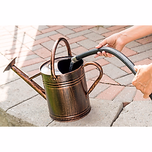 Vogholic Miracle-GRO 2757010 Water Soluble All Purpose Plant Food 24-8-16 3Kg: Amazon.ca: Patio, Lawn & Garden