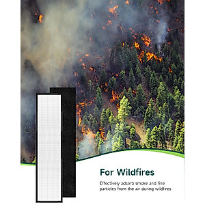 FLT5250PT Filter C Compatible with AC5250PT, AC5000E, AC5000, AC5300 Series Air Purifier, with Pet Pure Treatment, 2 True HEPA Filters & 8 Carbon Filters