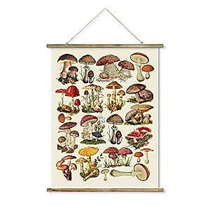 Vintage Mushroom Poster Hanger Frame, Patterns are Printed on Linen Without Fading, Scrolls Made of Fir are Durable, Retro Style Wall Decor Art Painting for Living Room Office Classroom Bedroom Decor,Adults and Children Learn Charts(22.4" X 15.7")