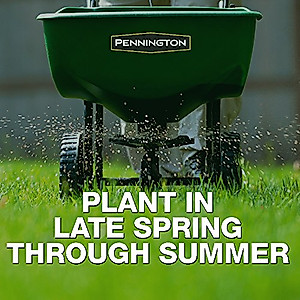 Pennington Bermuda Grass Seed - 5 lb
