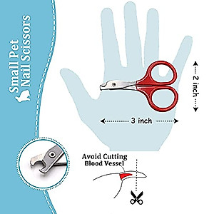 LLSPET 3-in-1 Guinea Pig Hay Feeder Water Bottle Nail Scissors Set, Pets Feeding Kit for Small Animals Bunny Chinchilla Guinea Pig Rabbit, 250ml Rabbit Water Bottle No Drip, Double Use Rabbit Feeder