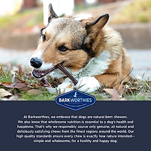 Barkworthies Harvest Buffet Collagen Sticks (6-Inch, 3-Count) - Great Tasting, Easily Digestible, Variety Pack, Dog Chew