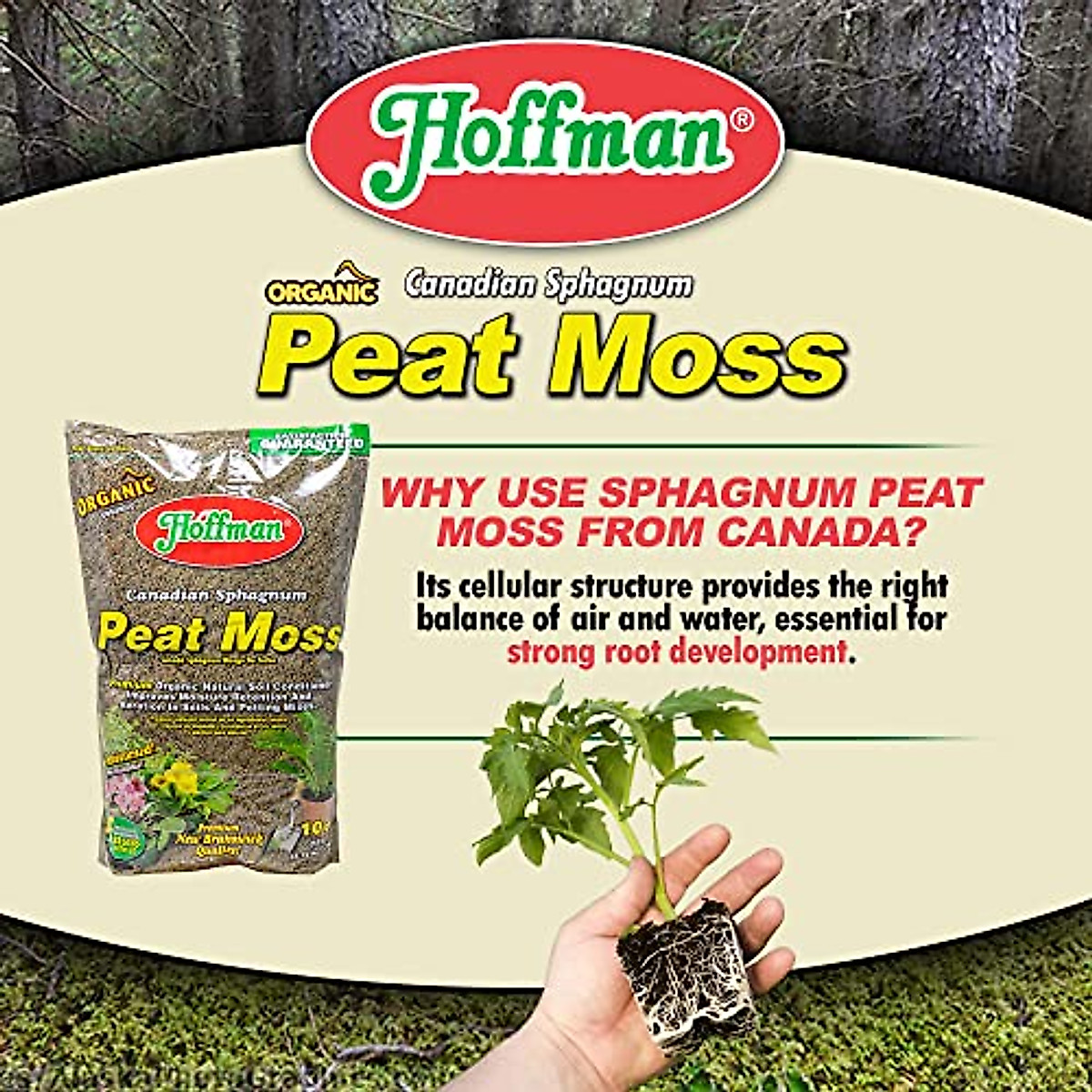 Hoffman 15503 Canadian Sphagnum Peat Moss, 10 Quarts