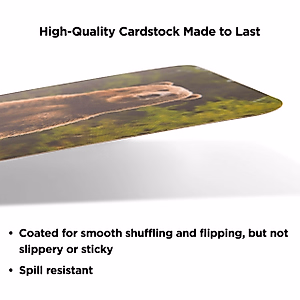 Think Thank Scholar Rhyming Words Flash Cards (Word Family) Ending Sounds/Rhymes - Language, Phonics and Spelling Skills Learning for Kindergarden, 1st, 2nd, 3rd Grade. Kids Ages 4, 5, 6, 7 & 8+