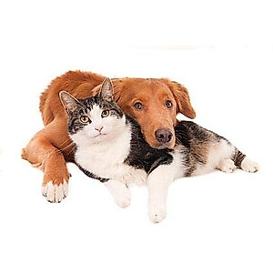 cat Coat Care - Pets Total Health Complex - Dogs and Cats - Best Hair Skin Eye Teeth Nail Urinary Support - Cranberry Supplement for Cats - 3 Bottles (180 Tablets)