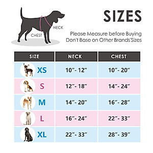 PHOEPET No Pull Dog Harness Medium Reflective Front Clip Vest with Handle,Adjustable 2 Metal Rings 3 Buckles,[Easy to Put on & Take Off](M, Grey)