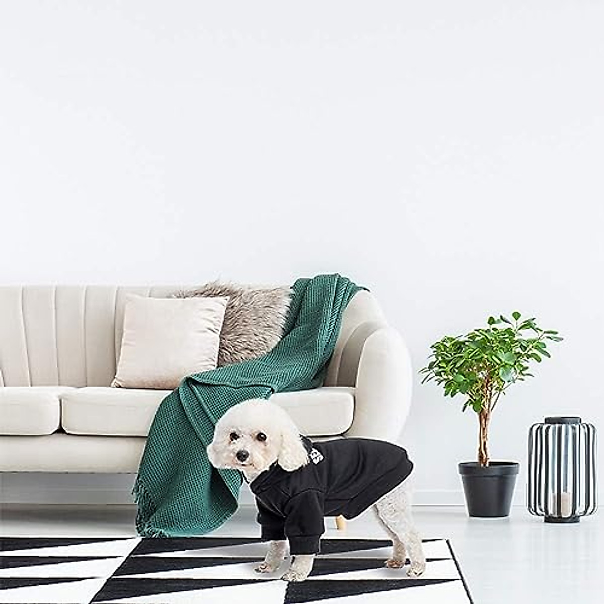 Dog Hoodie Pet Clothes - Security Printed Pet Sweaters with Hat Soft Cotton Coat Winter for Small Medium Large Dogs Cats