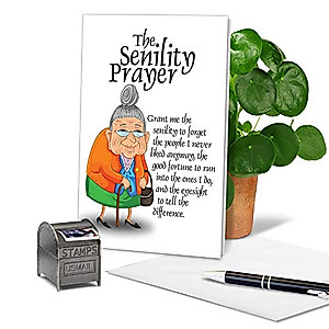 NobleWorks - Funny Happy Birthday Note Card with Envelope (4.63 x 6.75 Inch) - Bday Greeting Card for Women and Men - Congrats Bday Celebration Notecard - Senility Prayer 9046