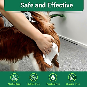 400 Unscented Dog Wipes for Paws and Butt Large Thick Puppy Wipes for Dogs Face and Body Dog Wipes Cleaning Deodorizing Cat Wipes Cleaning Fur and Butt Big Doggie Wipes Doggy Wipes Bum Dog Ear Wipes