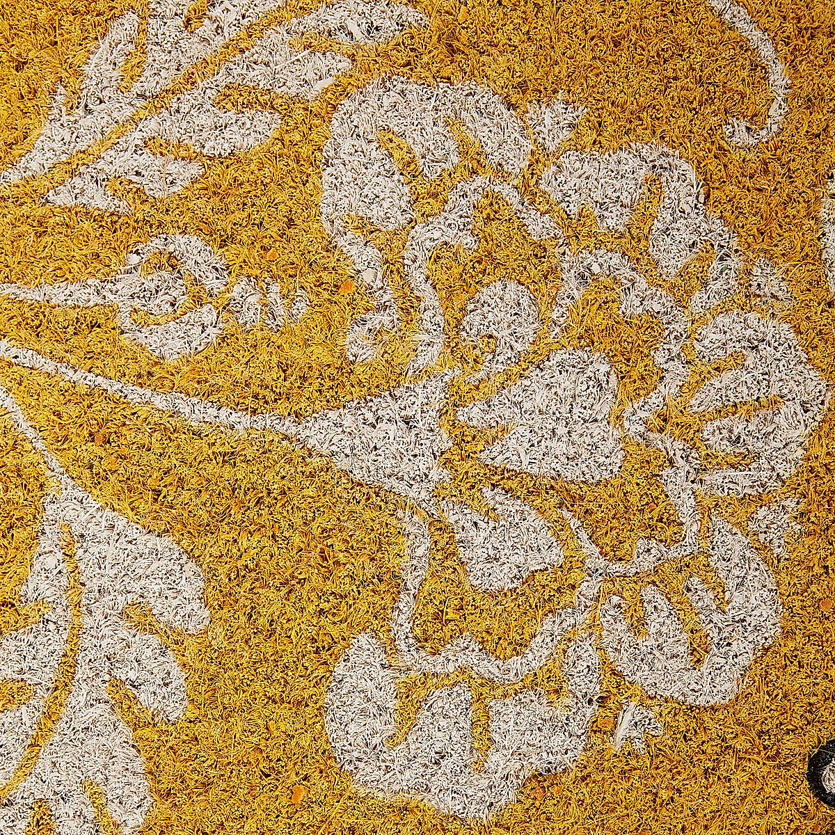 DII Natural Coir Doormat, Fun Greeting Mat, Honey I'm Home, 18x30