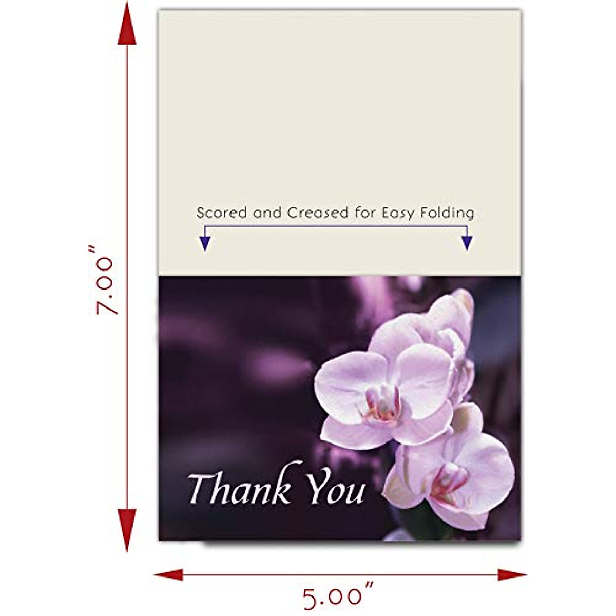 Funeral Thank You Cards - Sympathy Bereavement Thank You Cards With Envelopes - Message Inside (25, Purple Orchid)
