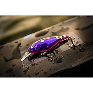 Berkley Flicker Shad Shallow Fishing Lure, Firetail Hot Perch, 2/7 oz, 2 3/4in | 7cm Crankbaits, Size, Profile and Dive Depth Imitates Real Shad, Equipped with Fusion19 Hook
