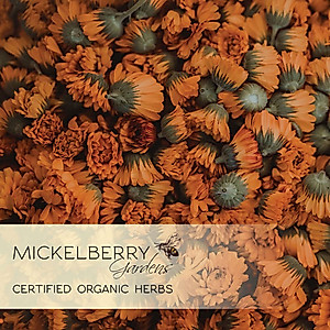 Herbal Baby Salve, Natural Diaper Rash Ointment - Organic Calendula Body Products for Babies (1 ounce)