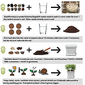 Herb Garden Windowsill Starter Kit - 10 Herb Indoor Kitchen Growing Herb Complete Set Including Everything for Beginner - DIY Garden Gifts for Kid Adult