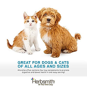 Herbsmith Microflora Plus – Dog Digestion Aid –Probiotics and Digestive Enzymes for Dogs – Prebiotic for Dogs – 60 Capsules