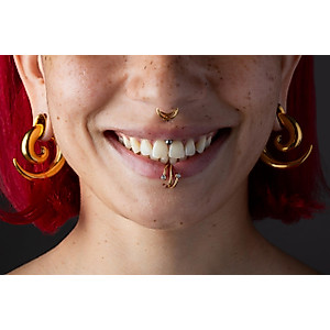 Pierced Owl 18GA Stainless Steel Double Hoop Hinged Segment Ring (Gold Tone)