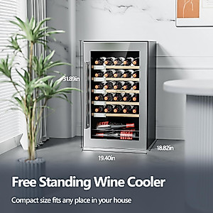 MOLINGDUN Wine Fridge, 33 Bottles Freestanding Wine Cooler, Intelligent Compressor, Frost Free, Stainless Steel Door, 41-64℉ Digital Temperature Control, for Red, White, Champagne or Sparkling Wine