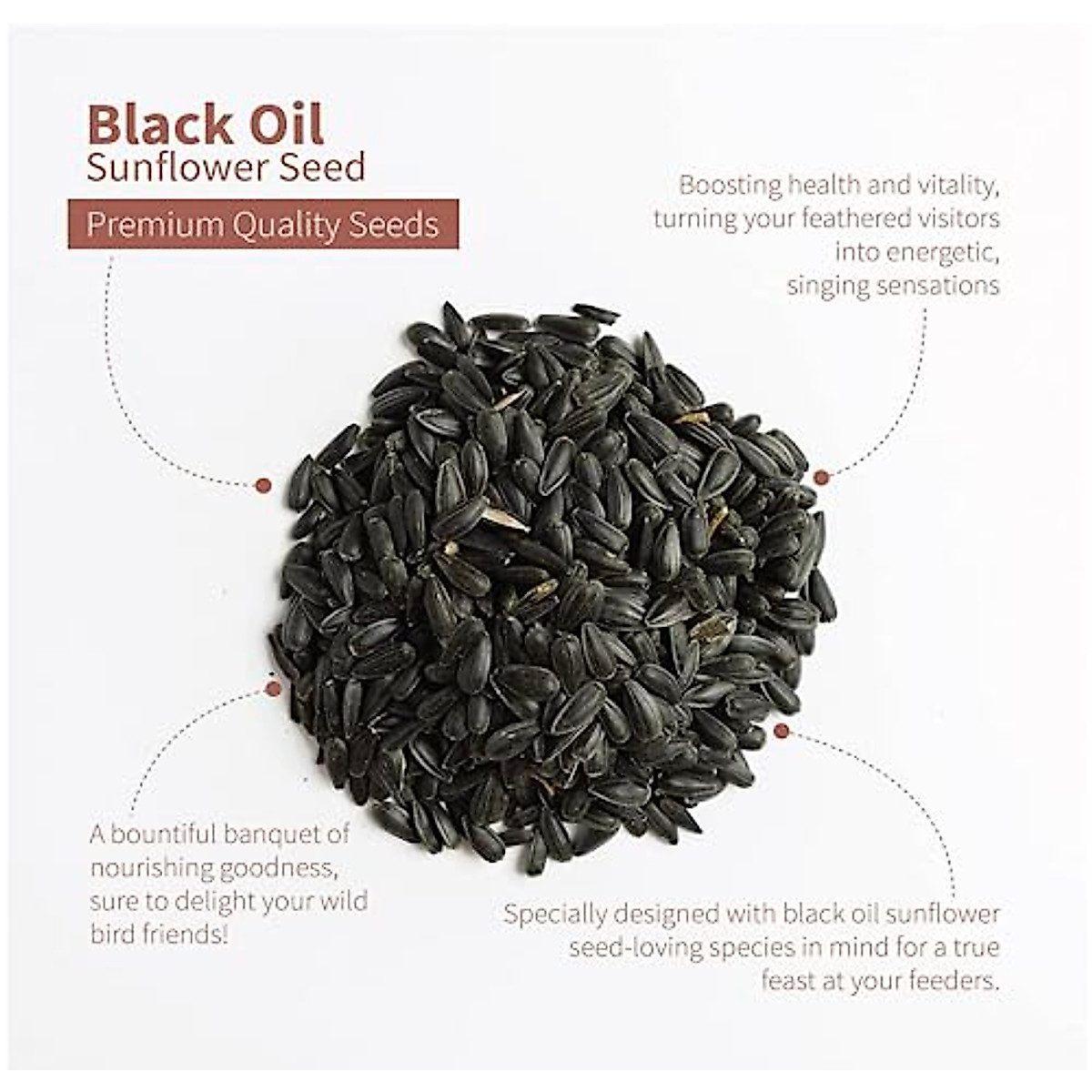 Black Oil Sunflower Seeds for Birds (10 Pound), Birds Seed for Outside Wild Birds, Birds Love Black Oil Sunflower Seeds for Their high-Fat Content, Nutrition Filled Bird Seed for Outside feeders