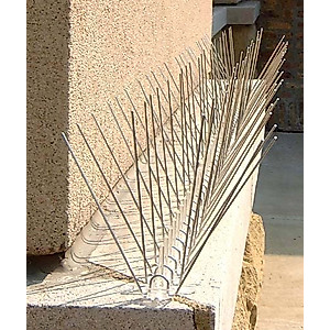 Bird-X Standard (STS-10-R) STAINLESS STEEL SPIKES-10, 10 feet