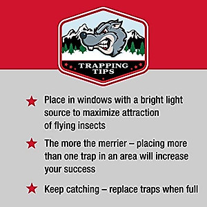 Catchmaster Fly Trap Bundle, Window Fly Traps 12-Pack & Fly Bag 4-Pack, Fruit Fly Traps for Indoors & Outdoors, for Garage, Backyard, Pool, Patio & Camping