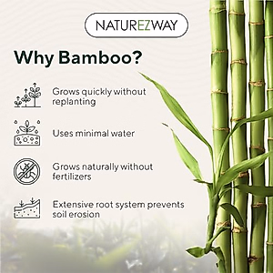 NatureZway - Elevate Your Bathroom Experience with Eco-Friendly Bamboo Toilet Paper (24 PACK) - 2-Ply, Tree-Free, 100% Bamboo Pulp, Strong, Clog-Free, and Septic Safe - Ultra Soft White