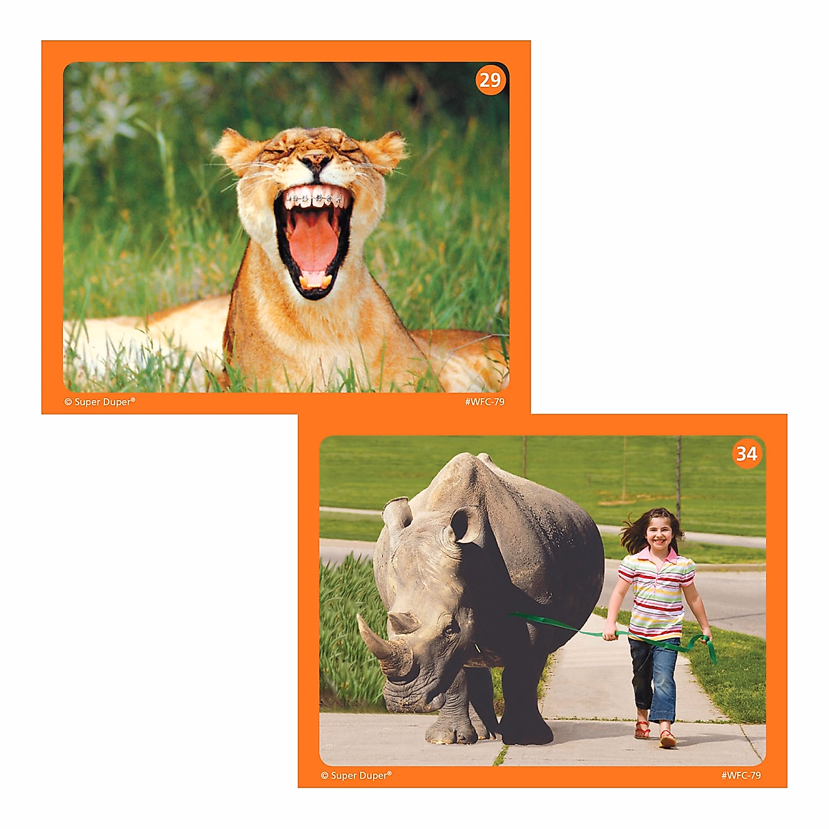 Super Duper Publications | What's Wrong with This Photo Flash Cards | Problem Solving, Reasoning and Critical Thinking Skills Fun Deck | Educational Learning Resource for Children