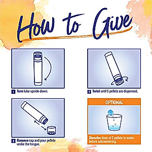 Boiron ColdCalm Kids Pellets for Relief of Common Cold Symptoms Such as Sneezing, Runny Nose, Sore Throat, and Nasal Congestion - 2 Count (160 Pellets)