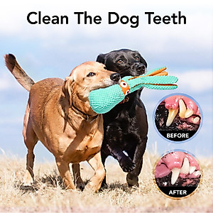 Wigglo Dogs Plush Toys, Squeaky Octopus Dog Stuffed Toys, Durable Dog Chew Toys for Puppy Small Medium Large Boredom Dogs Interactive, Tug-of-war, Stimulating, Teething (Green)