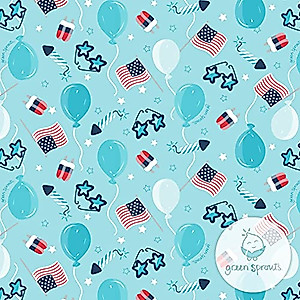 i Play Boys Reusable Absorbent Baby Swim Diapers Light Aqua Celebration 3T