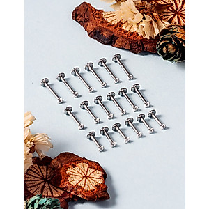 Vsnnsns 16G Lip Rings Stainless Steel Labret Jewelry Monroe Lip Rings Nail Cartilage Tragus Helix Earrings Studs Piercing Jewelry Medusa Piercing Jewelry for Women Men 16 Gauge Earrings 2MM CZ Silver