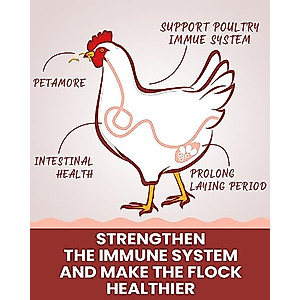 NC Grubsnack 10lbs Dried Mealworms Black Soldier Fly Larvae Mix Treats for Backyard Chickens, Scratch Feed for Backyard Flock Party Poultry Fowl Layers hens with Rich Protein and Calcium