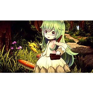 PlayStation4　メルヘンフォーレスト　通常版