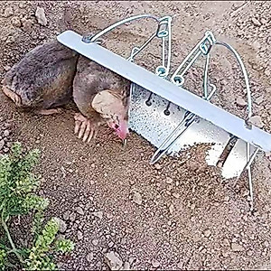 DSQSTMR Mole Traps That Work Gopher Squirrel Spring Best Rat Trap Outdoor Vole for Lawns Easy Reusable Smart Snare Trapping