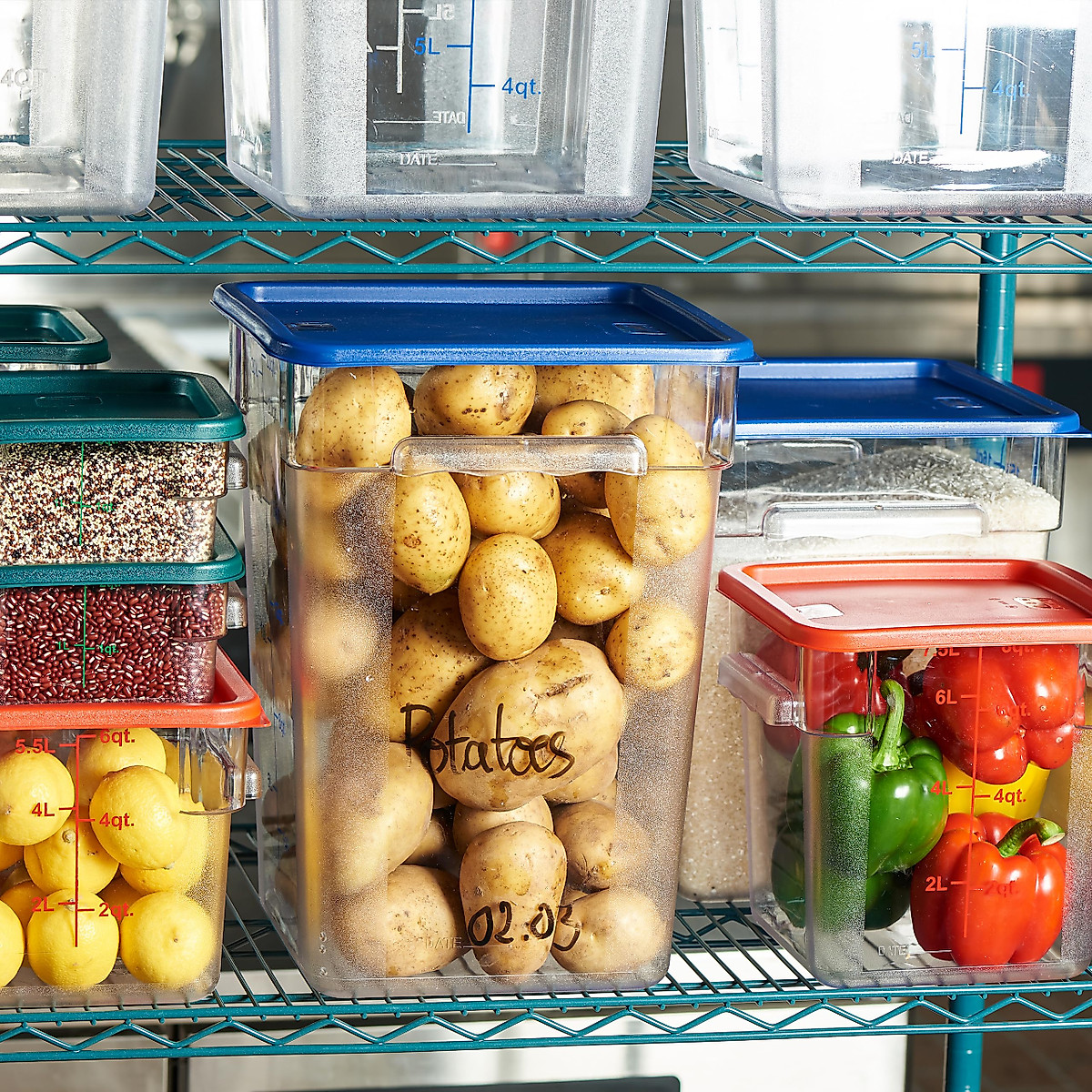 CURTA 4 Pack Food Storage Containers with Blue Lids - NSF Listed Commercial Grade in 18.0 Qt - Square, Clear, Polycarbonate