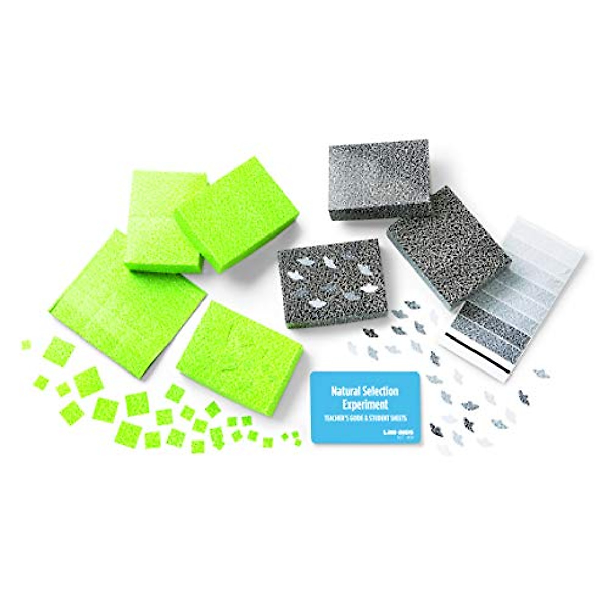 Lab-Aids Natural Selection Experiment Kit 91