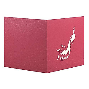 Paper Spiritz Peacock Pop up Cards Birthday, Mother's Day Cards, Anniversary Thank You Card for Husband Daughter Wife, Handmade Graduation Sympathy Blank Card, Laser Cut with Envelopes All Occasion