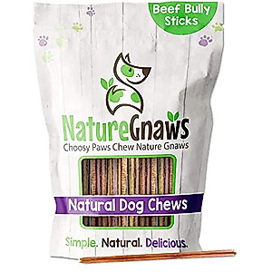 Nature Gnaws Extra Thin Bully Sticks for Dogs - Premium Natural Beef Dental Bones - Long Lasting Dog Chew Treats for Small Dogs & Puppies - Rawhide Free