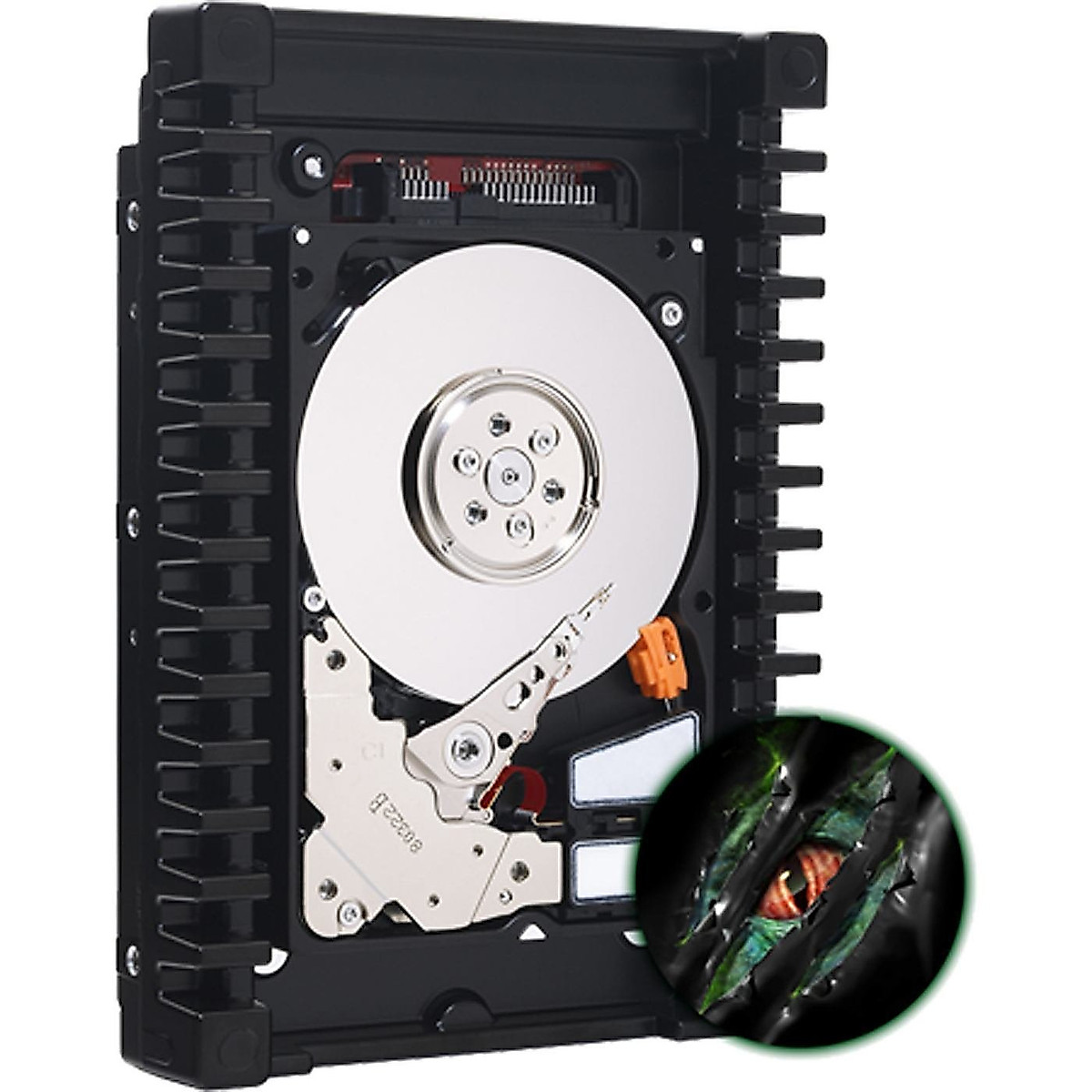 Western Digital VelociRaptor 500 GB 3.5" Internal Bare Hard Drive WD5000HHTZ
