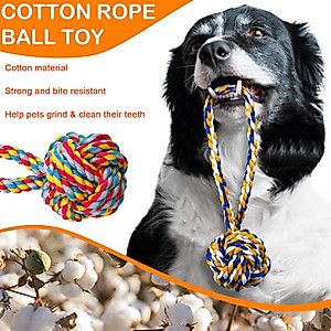 Shappy 22 Pcs Dog Balls Toys Dog Puzzle Teething Toys Ball Squeaky Dog Toys Dog Tennis Balls Durable Bouncy Floating Balls Rope Balls Dog Toys Solid Rubber Ball for Puppies Small Medium Large Dogs